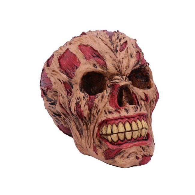The Hoard Rotting Zombie Skull (Birmingham, West Midlands) | NomTimes UK